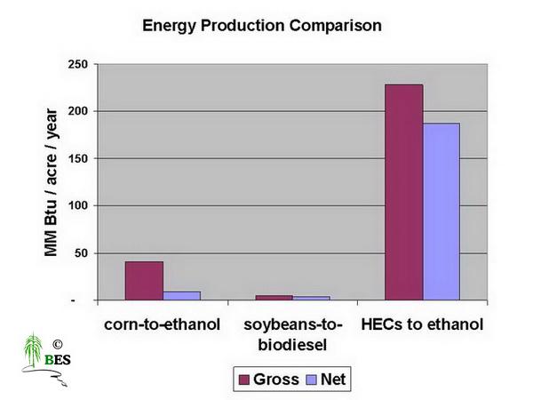 BioEnergy Systems LLC