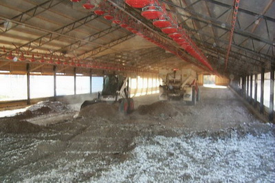 BioEnergy Systems LLC